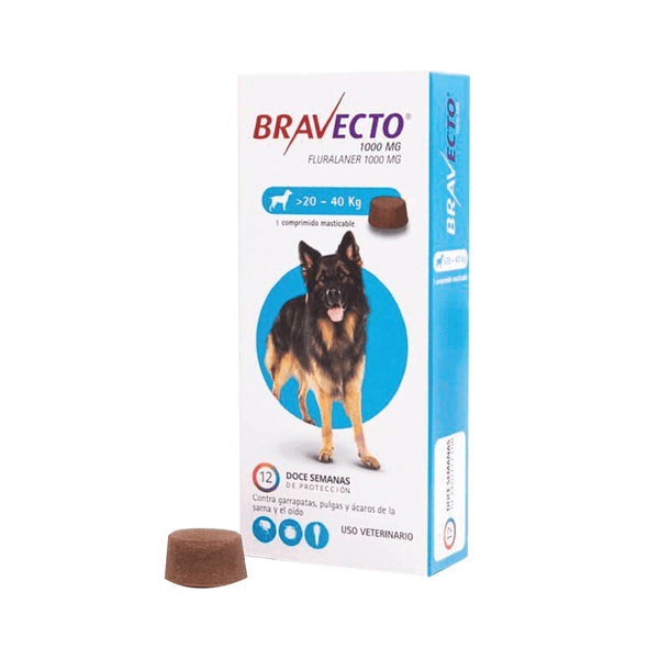 Bravecto Perro 20 – 40 Kg (1000 mg) | Petvet.cl – petvet.cl