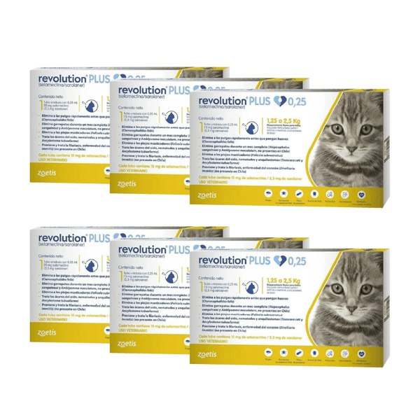 6 X Revolution Plus Gatos 0,25 Ml