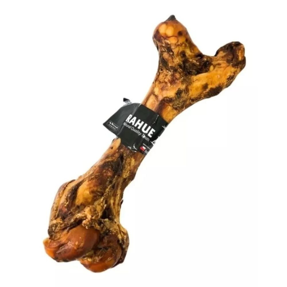 Rahue Fémur de Vacuno – petvet.cl